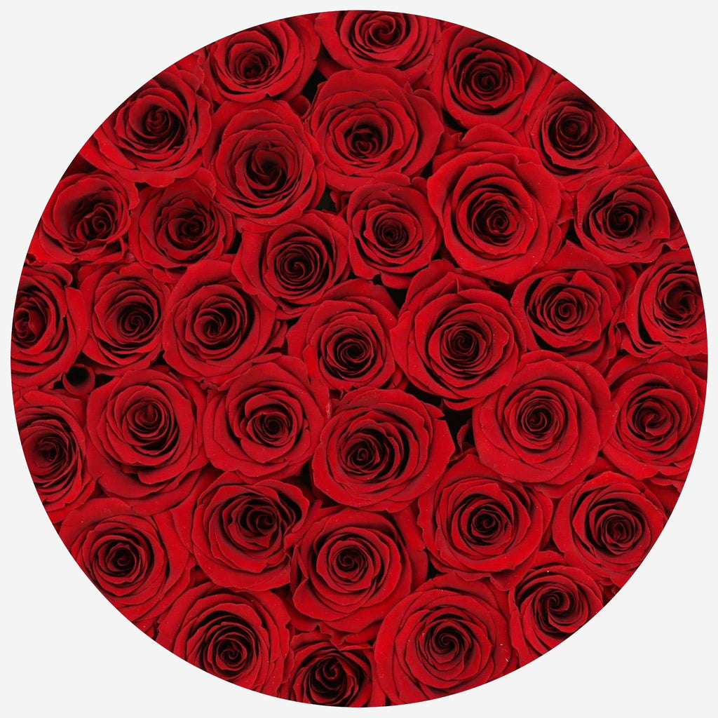 Supreme White Box | Red Roses – Lumière Lane — Where calm meets beauty.